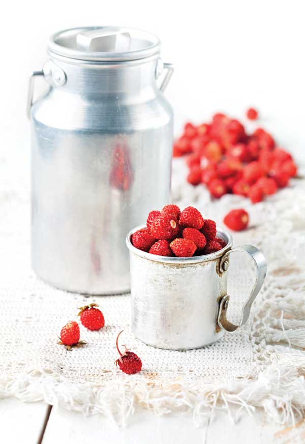 5 Antioxidant-Rich Fruits that Grow Anywhere - Mother Earth Living